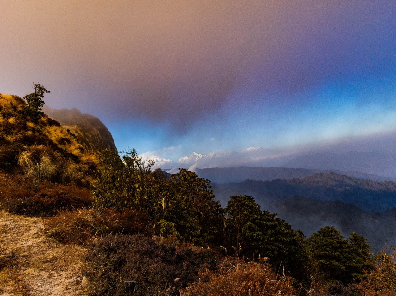 Sandakpur Road Trip | Labanya Travels